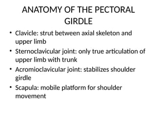 Injuries_to_the_Pectoral_Girdle_WITH_LABELLED_DIAGRAMS.pptx
