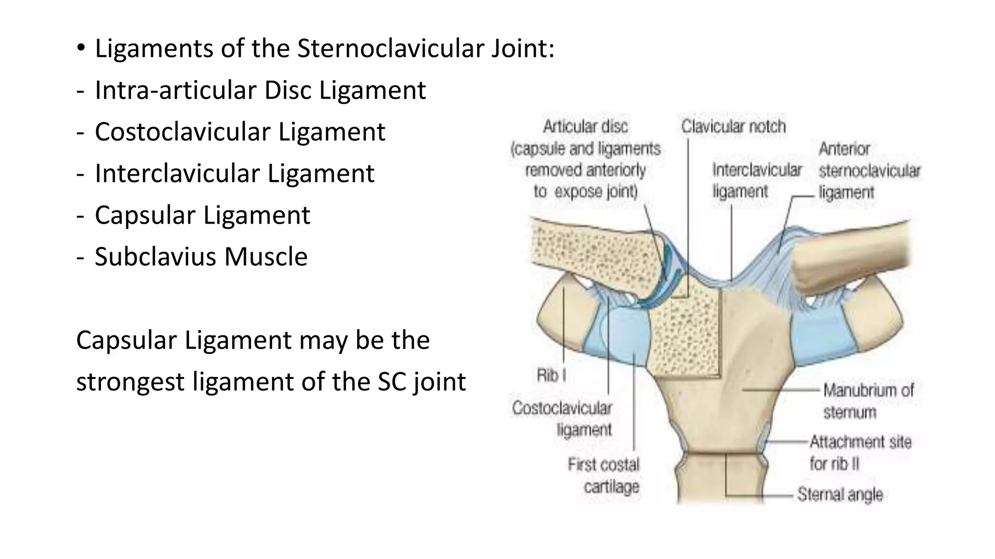 Injuries to the sternoclavicular joint | PPTX