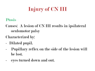 Injury Of Cranial Nerve | PPTX