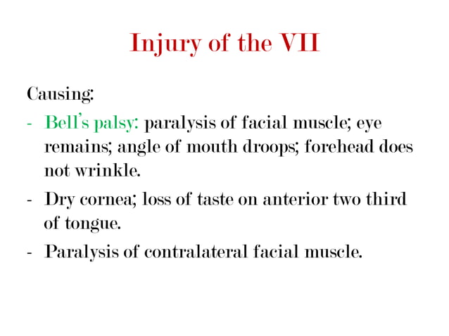 Injury Of Cranial Nerve | PPTX | Ear, Nose and Throat Conditions ...