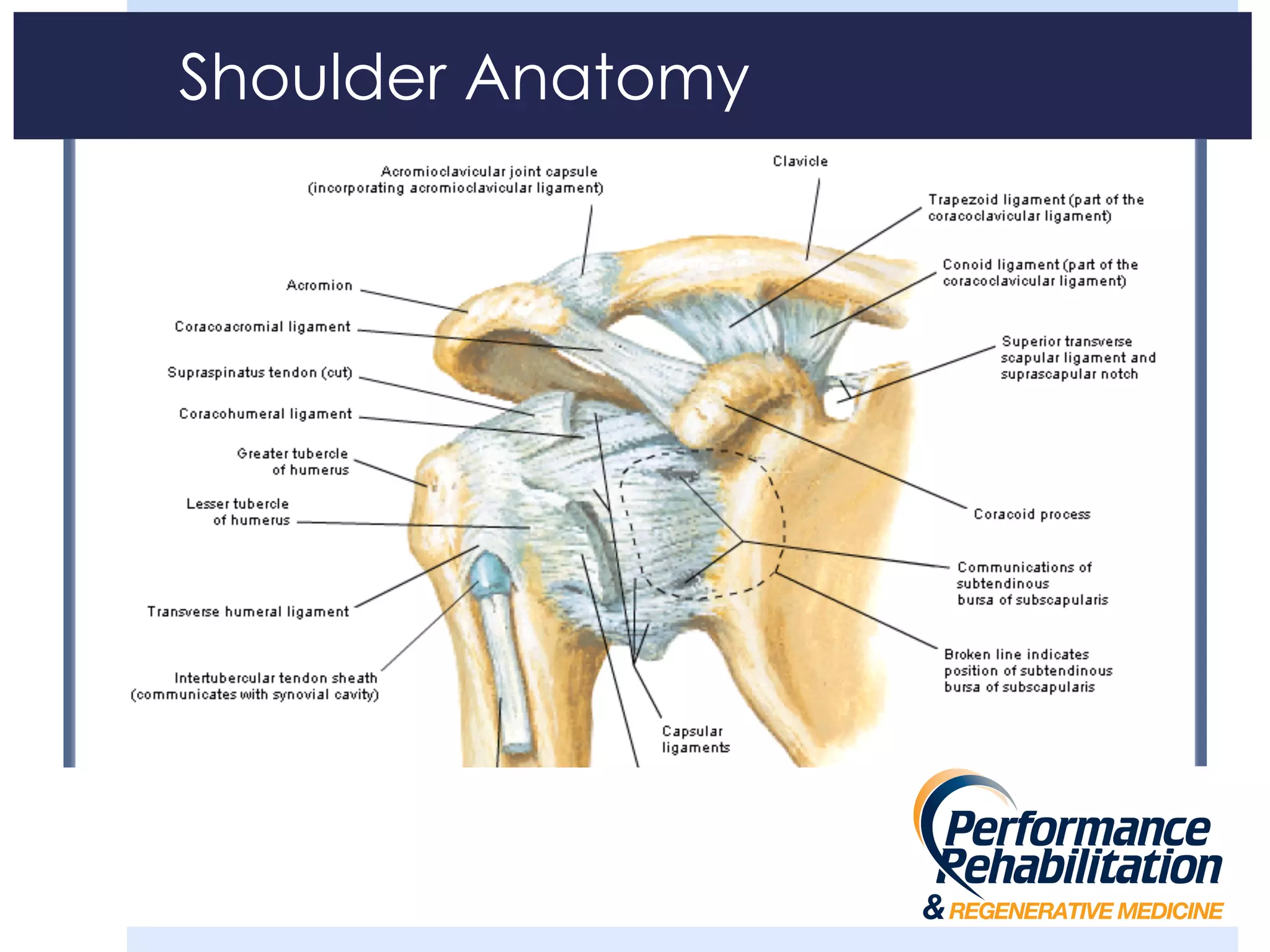 Injury prevention shoulder and thoracic spine | PDF