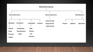INJURY REPORT & ITS MEDICO-LEGAL IMPLICATION.pptx