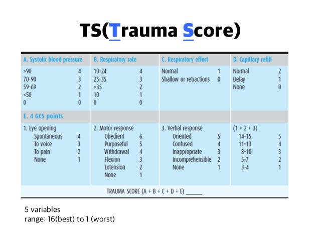 손상감시체계와 손상분류척도