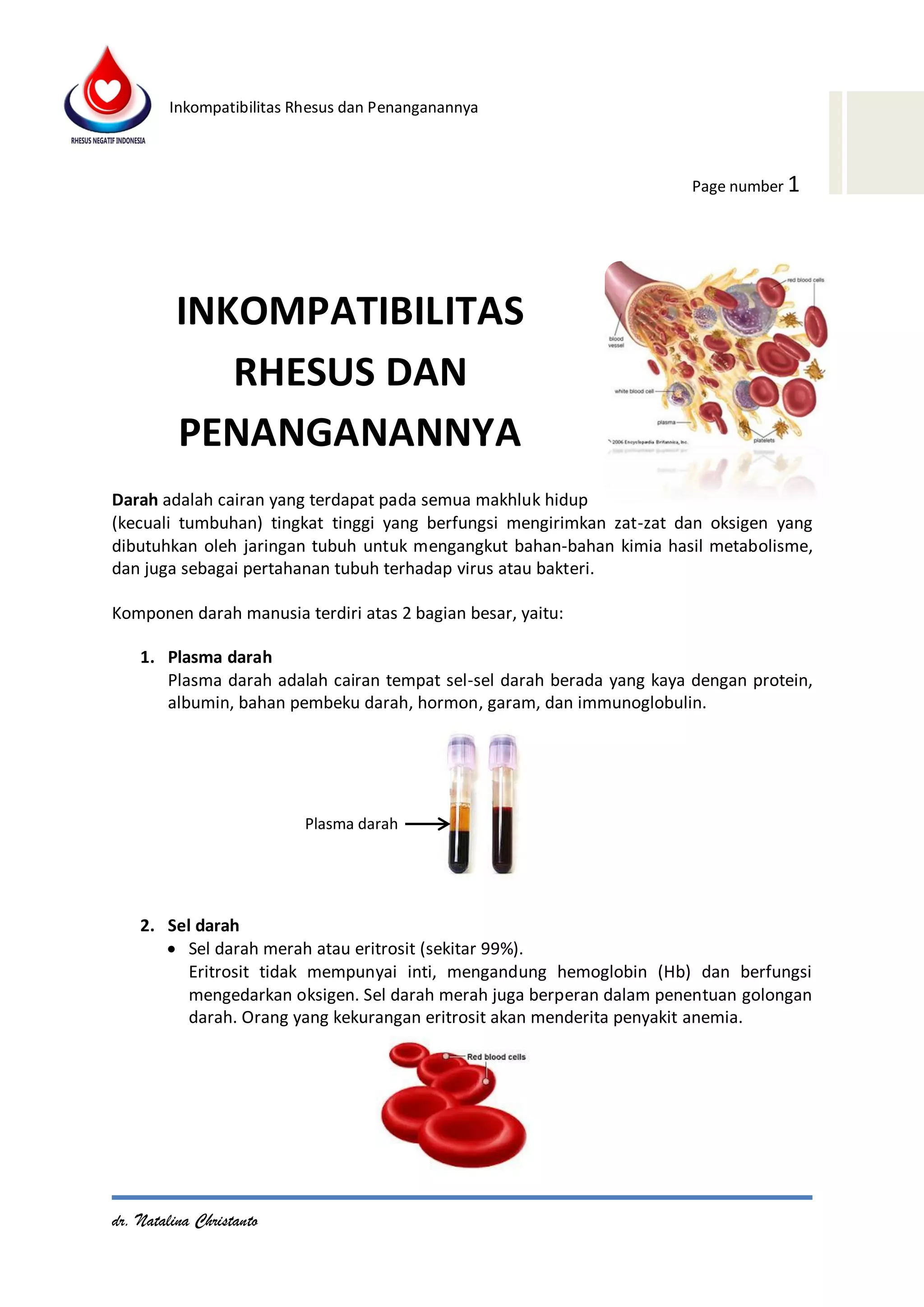Inkompatibilitas Rhesus dan Penanganannya | PDF
