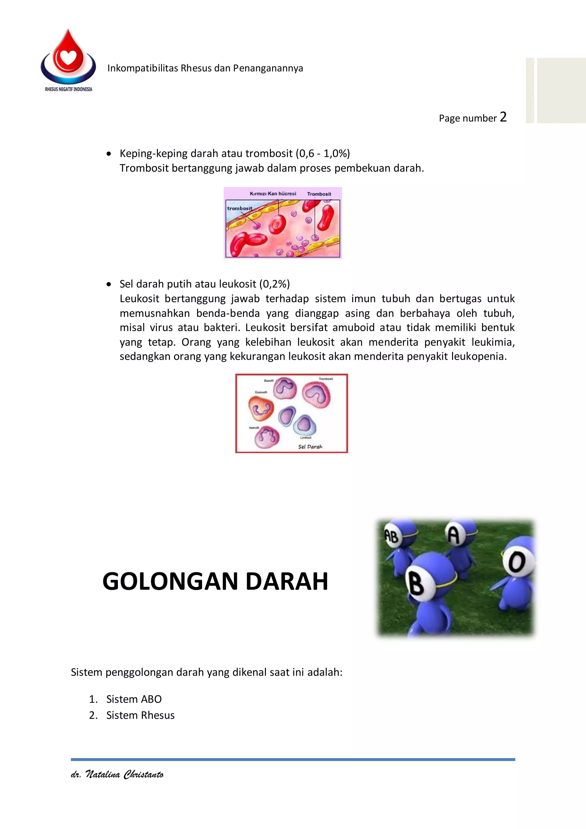 Inkompatibilitas Rhesus dan Penanganannya | PDF