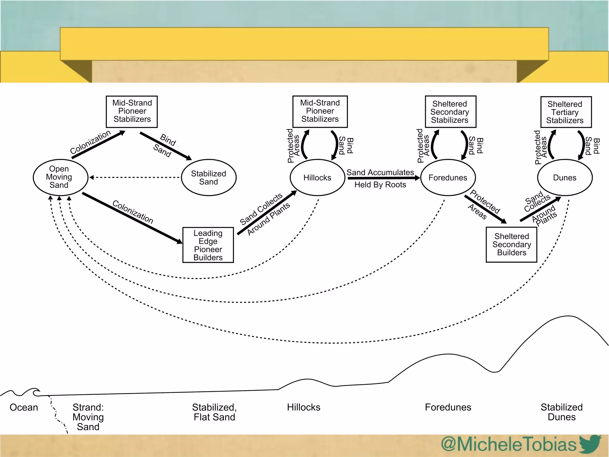 Inkscape For Art & Science | ODP