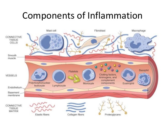 ACUTE INFLAMMATION