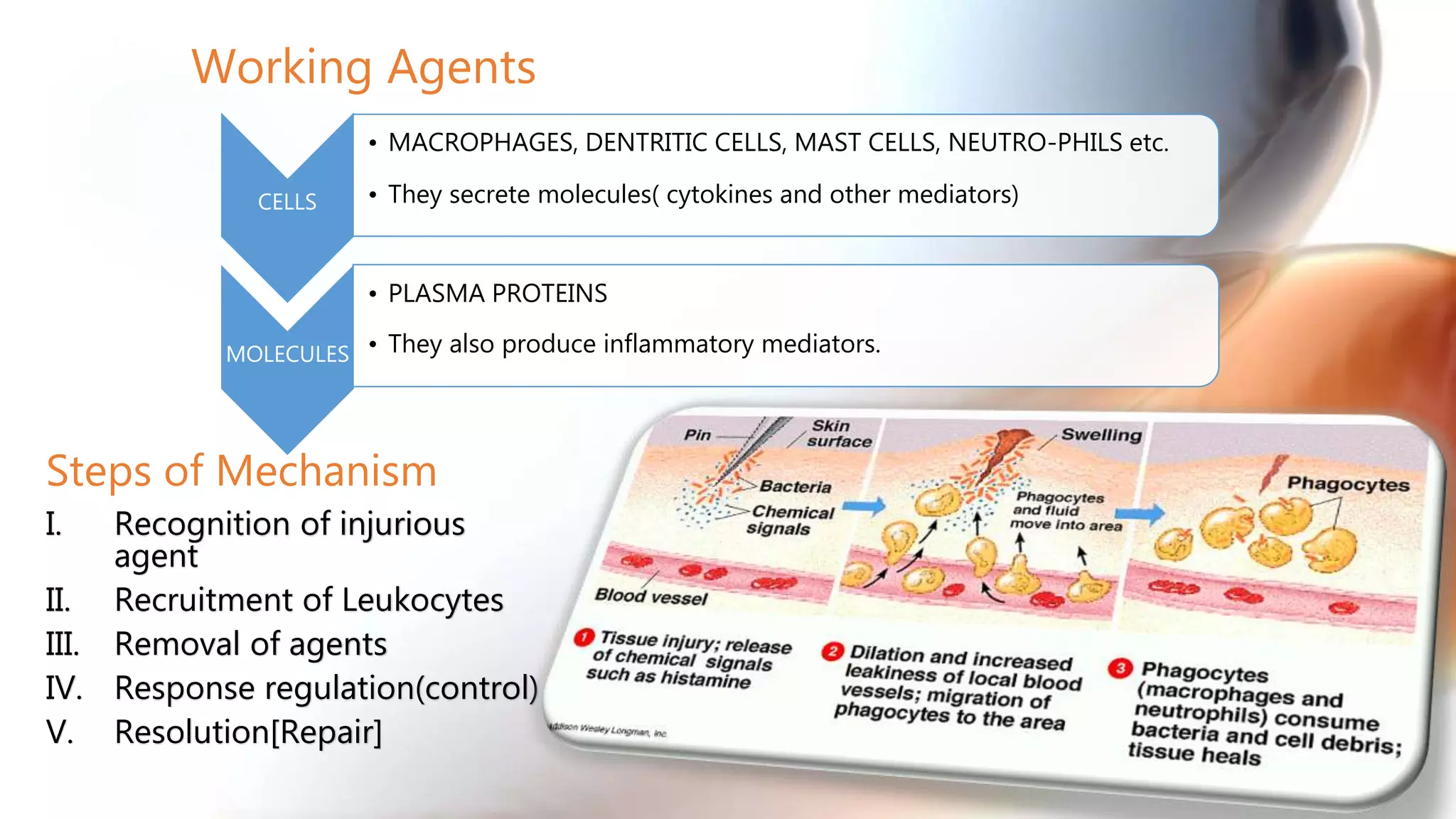 ACUTE INFLAMMATION | PPTX