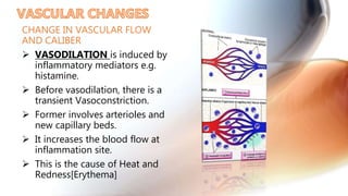 ACUTE INFLAMMATION | PPTX