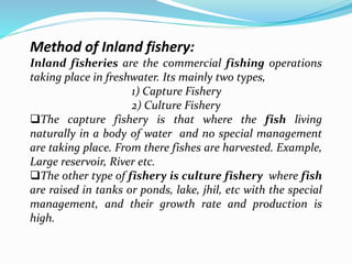Inland fishery in the worlld | PPTX