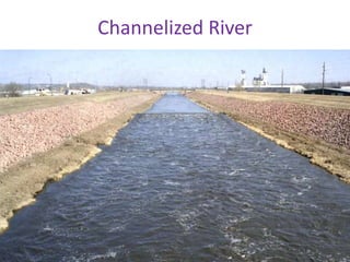 Inland water transportation & Floating Landing Stage | PPT