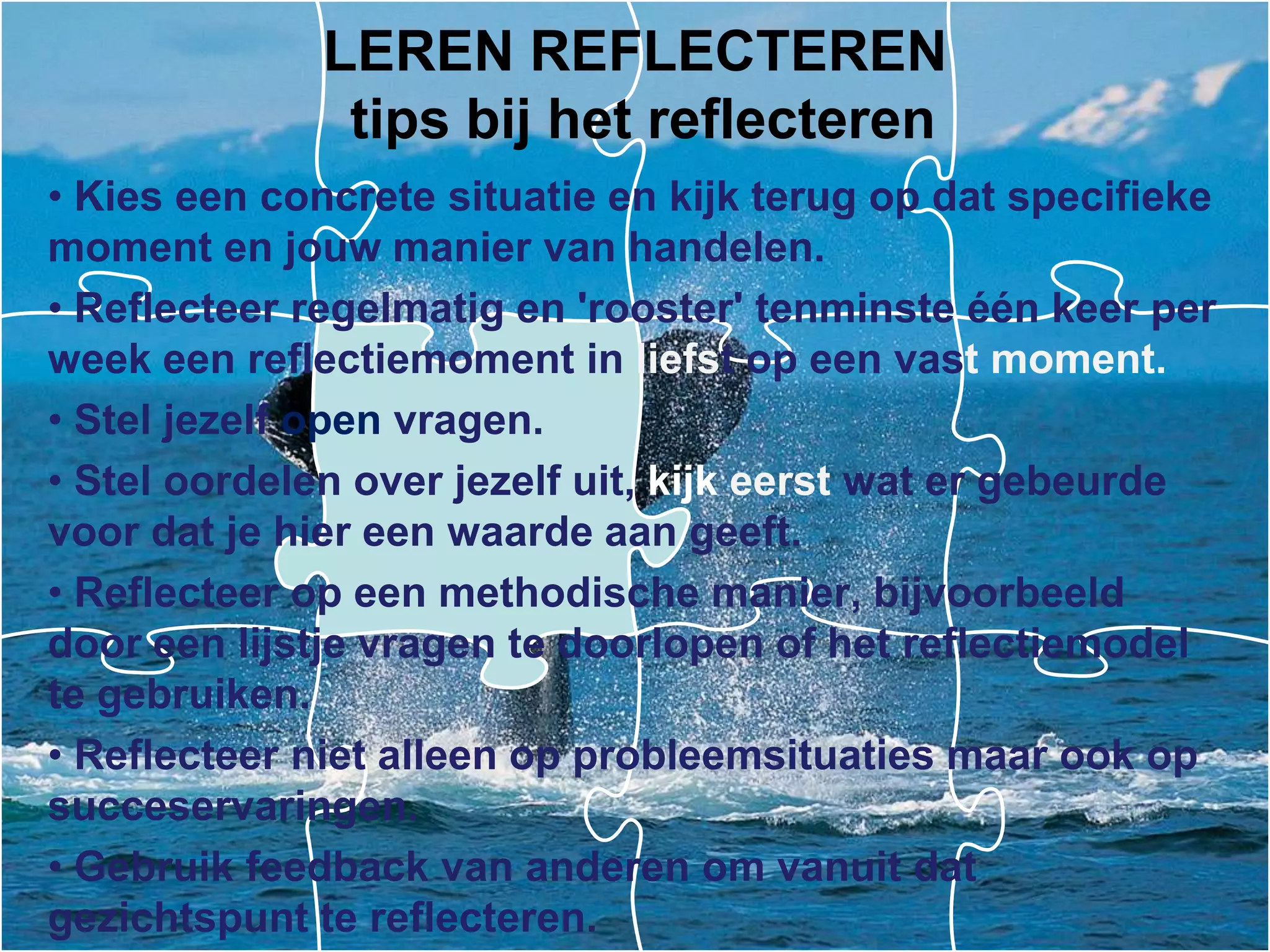 Inleiding leren reflecteren | PPT