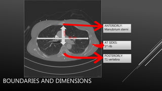 Inlet of thorax | PPTX