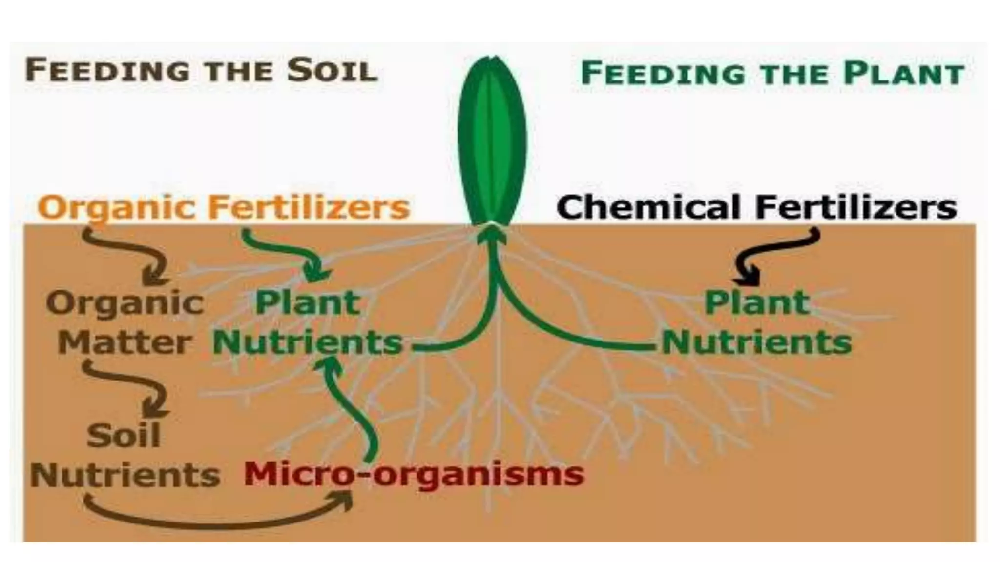 Integrated nutrient management | PPTX