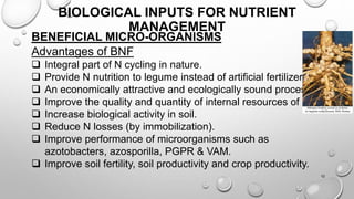 Integrated Nutrient Management | PPTX