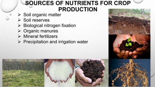 Integrated Nutrient Management | PPTX