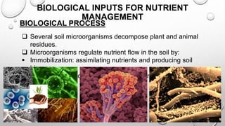 Integrated Nutrient Management | PPTX