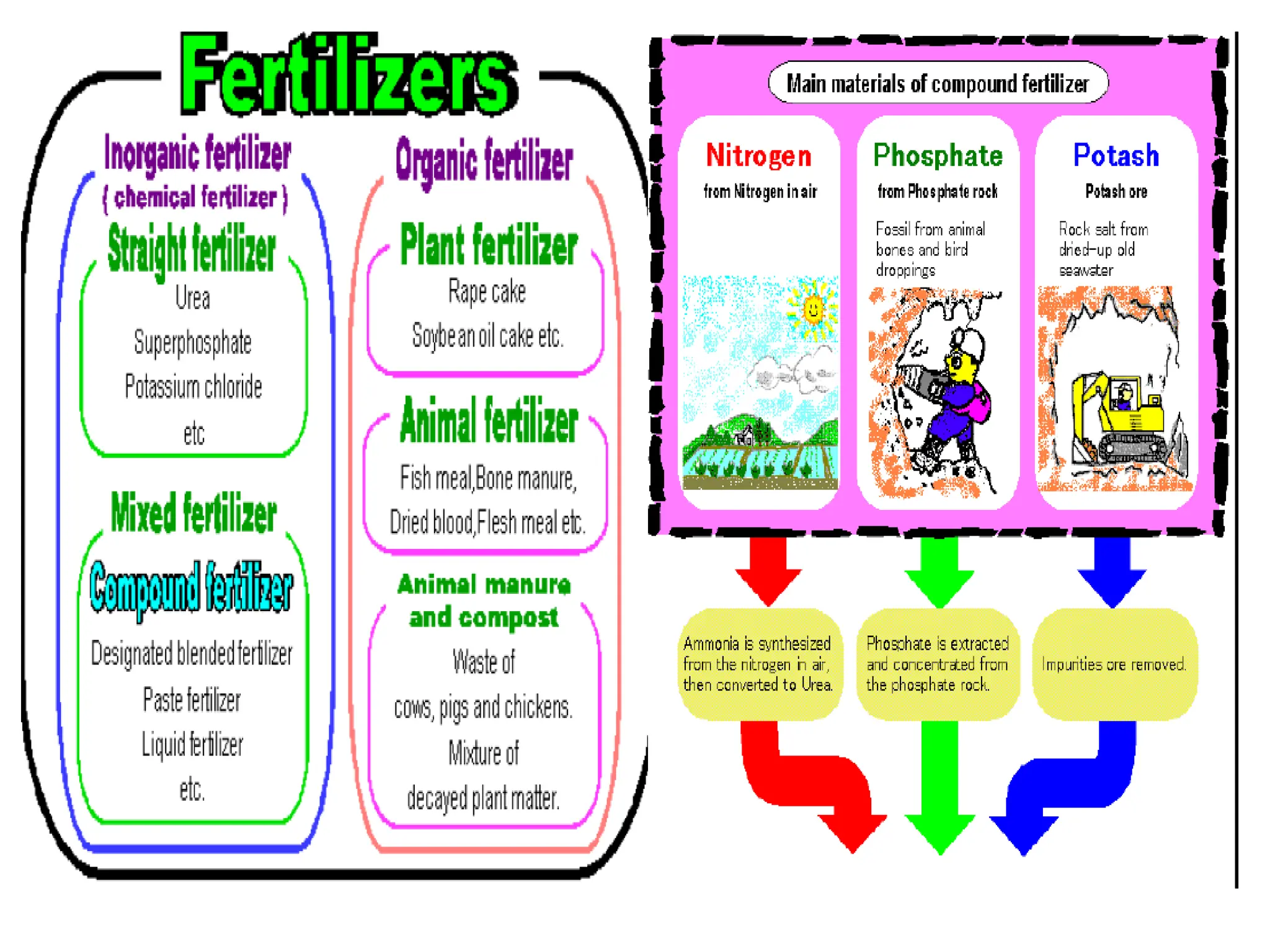 Integrated nutrient management for sustainable vegetable production | PPTX