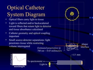Spectroscopic fiber optic catheter tania - aha 2001 | PPT