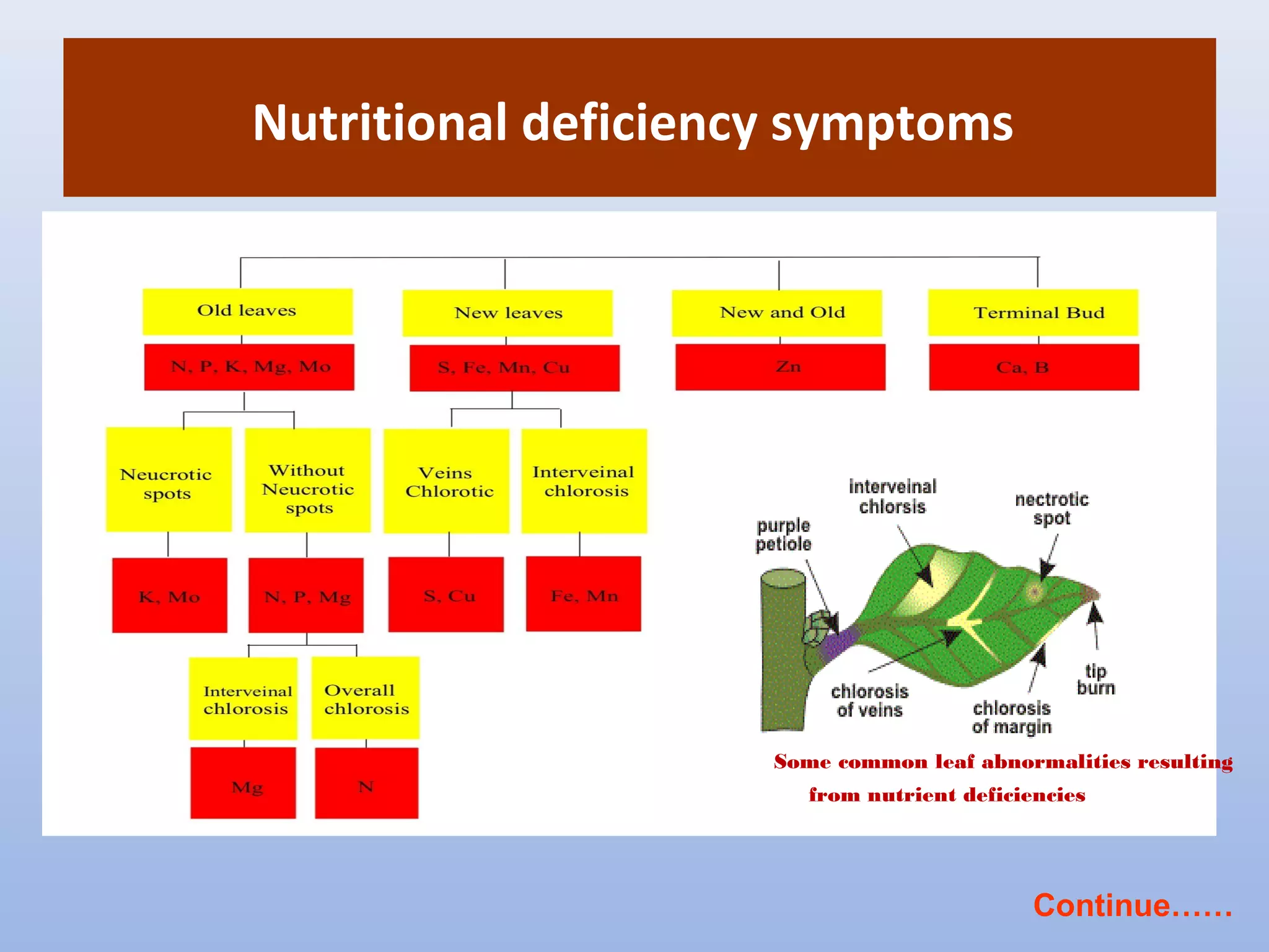 Inm in horticulture | PPT