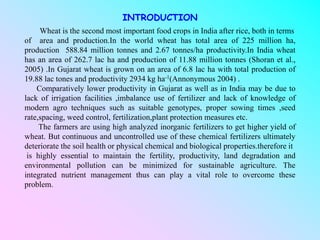 Integrated nutrient management in wheat.ppt