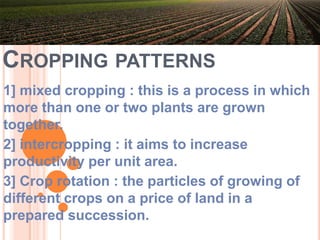 Improvement in food resources | PPTX