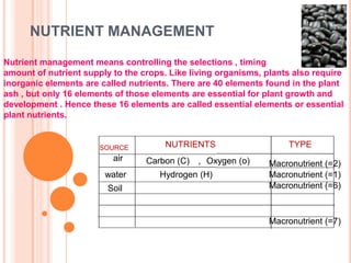 Improvement in food resources | PPTX
