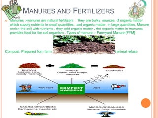 Improvement in food resources | PPTX