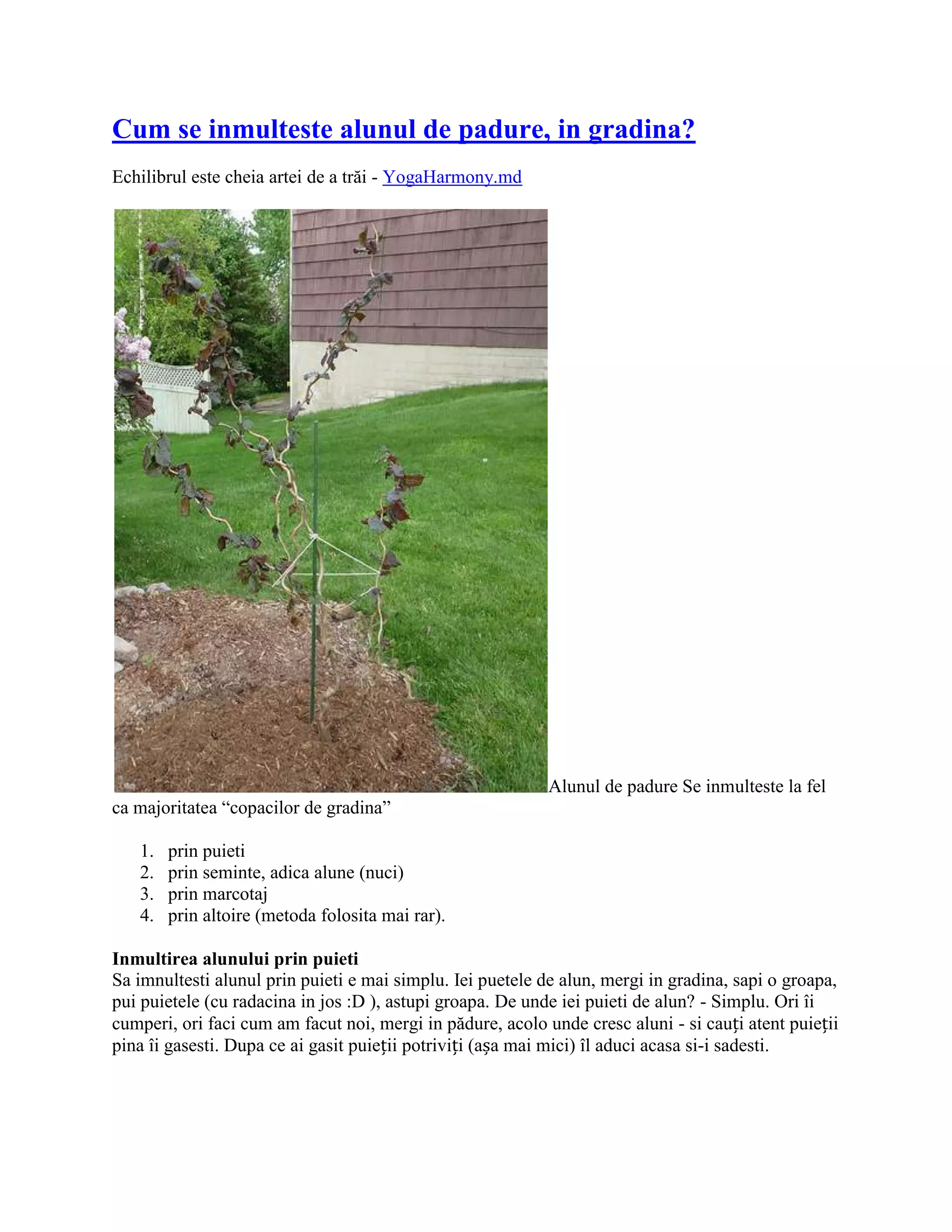 Inmultire alun din seminte | DOCX