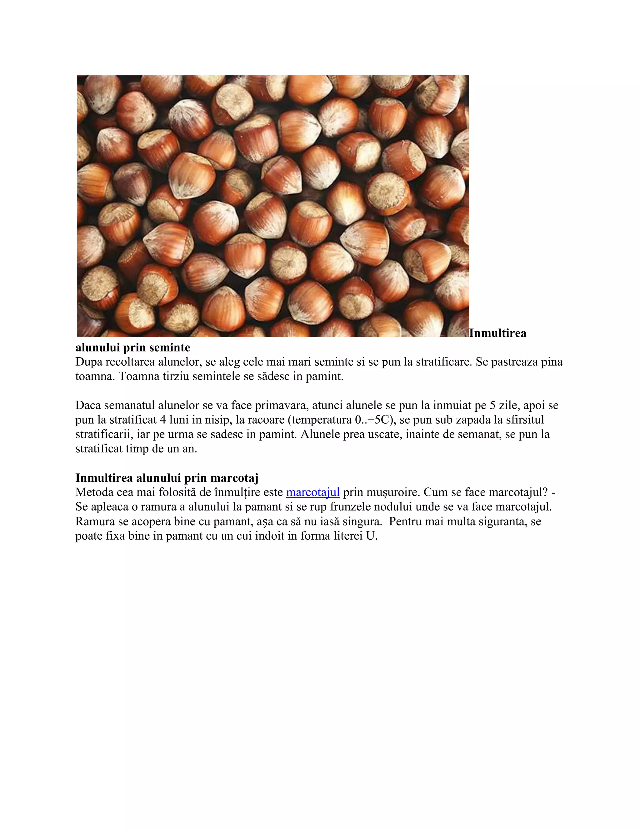 Inmultire alun din seminte | DOCX