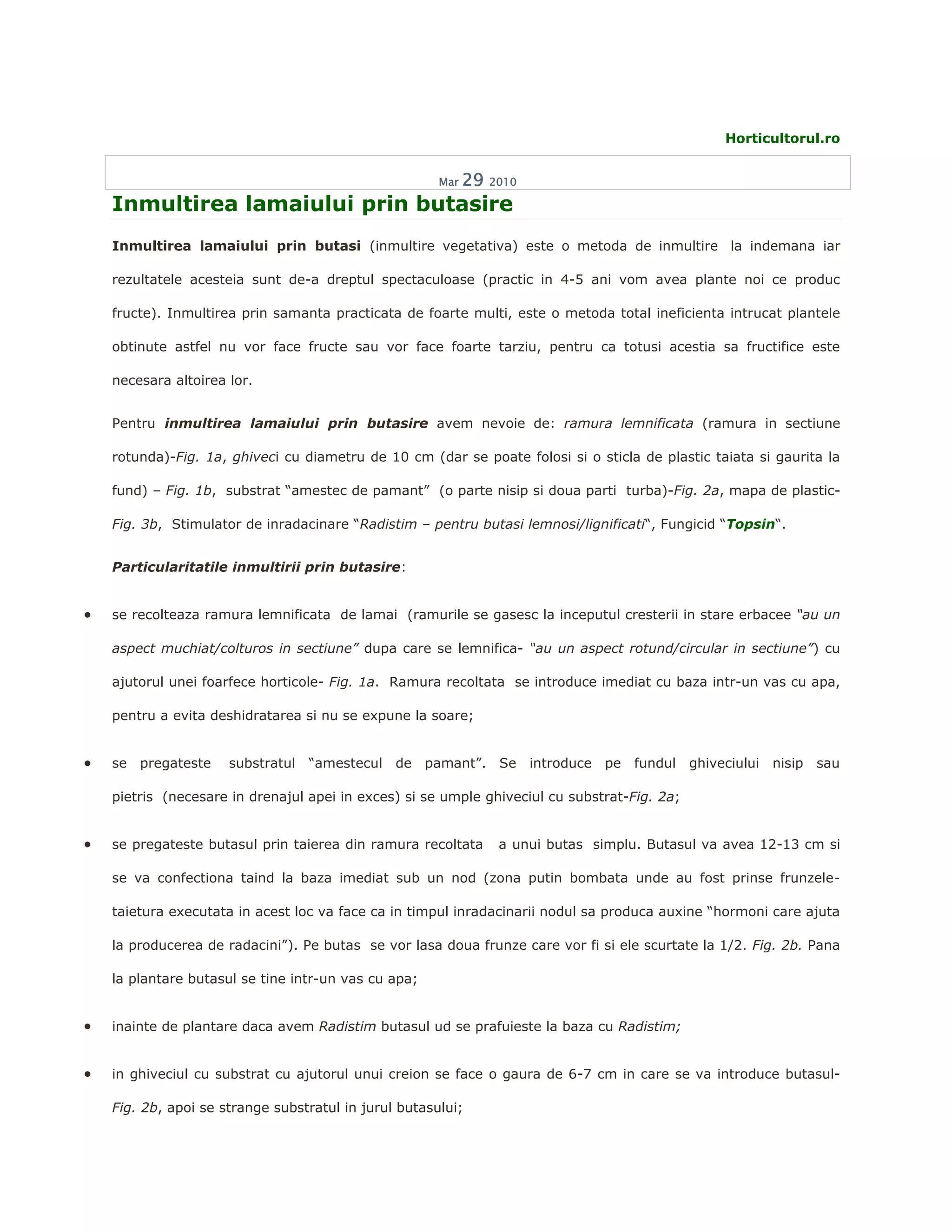 Inmultire lamai prin butasire | DOCX