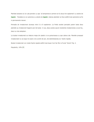 Inmultire lamai prin butasire | DOCX