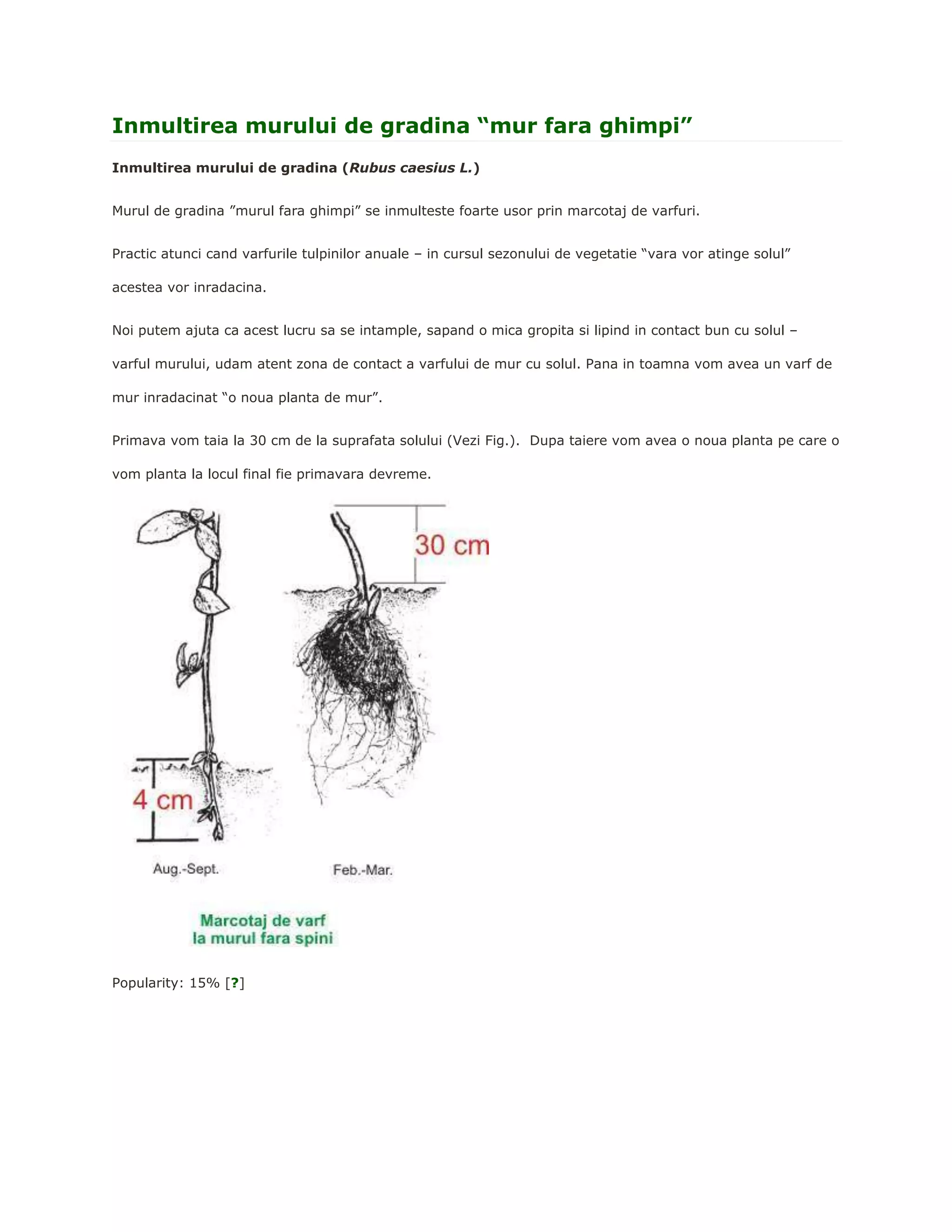 Inmultire mur gradina | DOCX