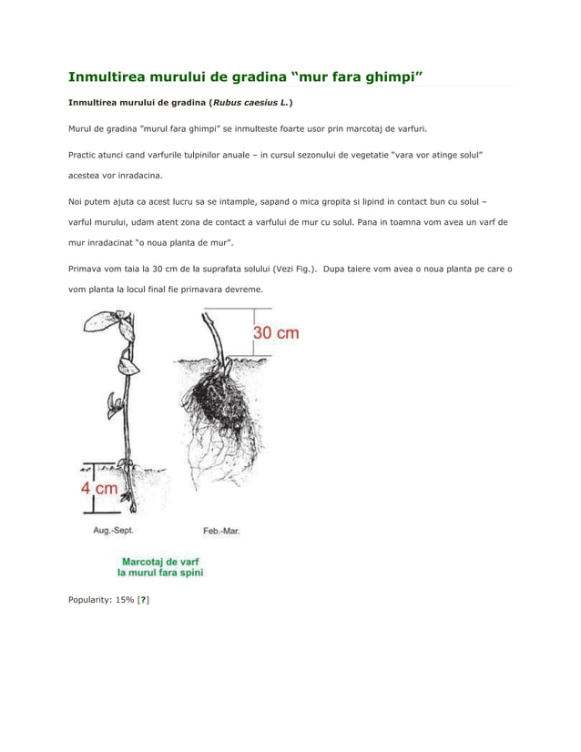 Inmultire mur gradina | DOCX