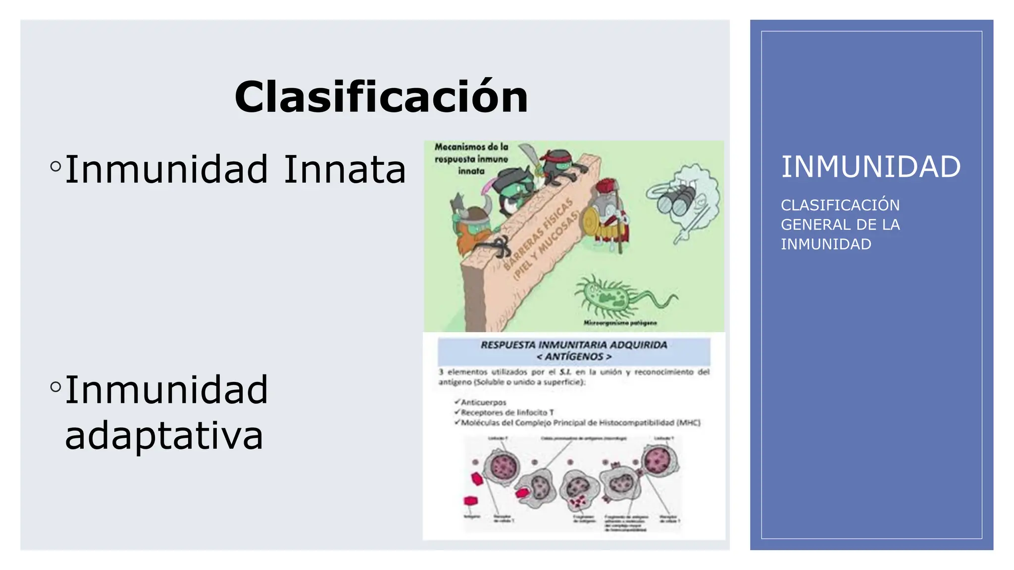 Inmunidad activa y pasiva, definición de vacuna | PPTX