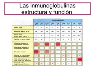 Inmunidad Humoral | PPT