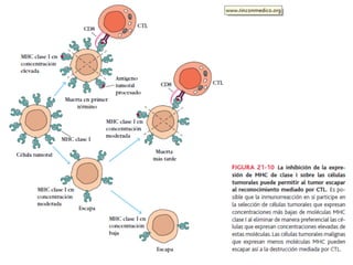 Inmunidad antitumoral | PDF