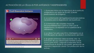 Inmunidad Biológica | PPT