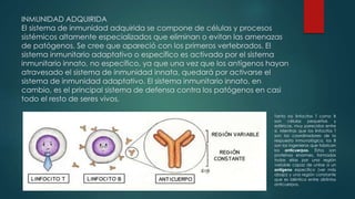 Inmunidad Biológica | PPT
