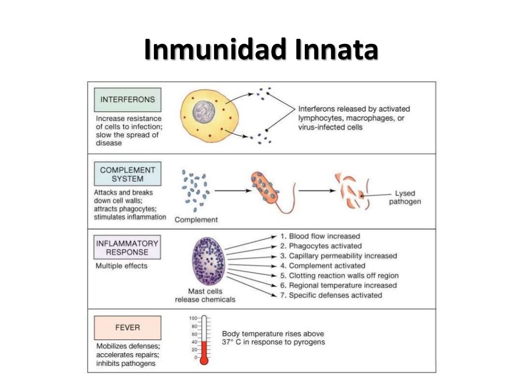 Inmunidad innata y adaptativa