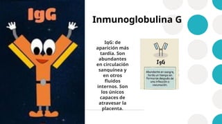 Que Son Y Tipos De Las Inmunoglobulina Pptx