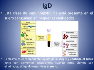 Inmunoglobulinas | PPT
