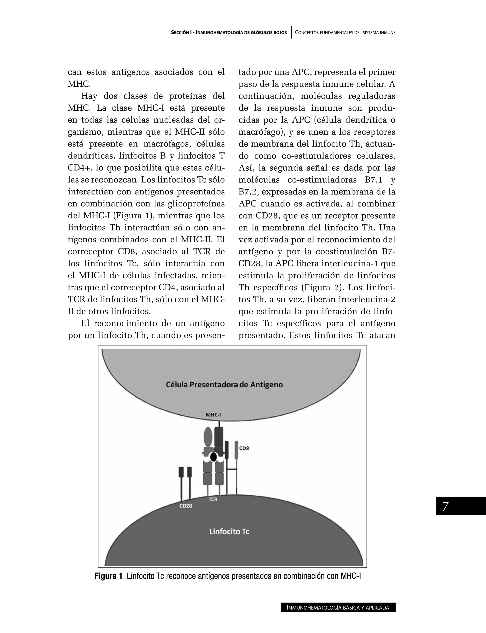 inmunohematologia-banco de sangre-básica y aplicada | PDF