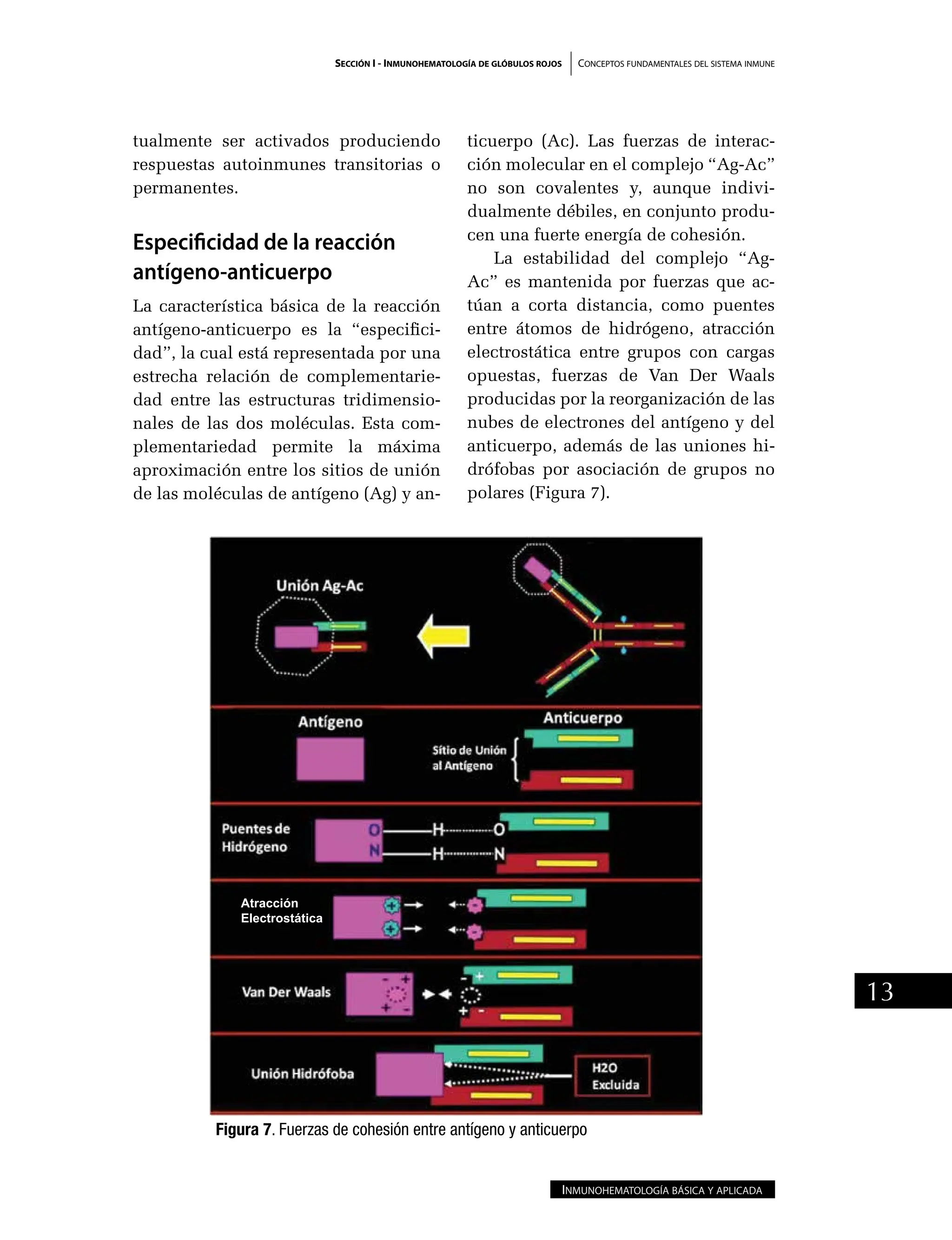 inmunohematologia-banco de sangre-básica y aplicada | PDF