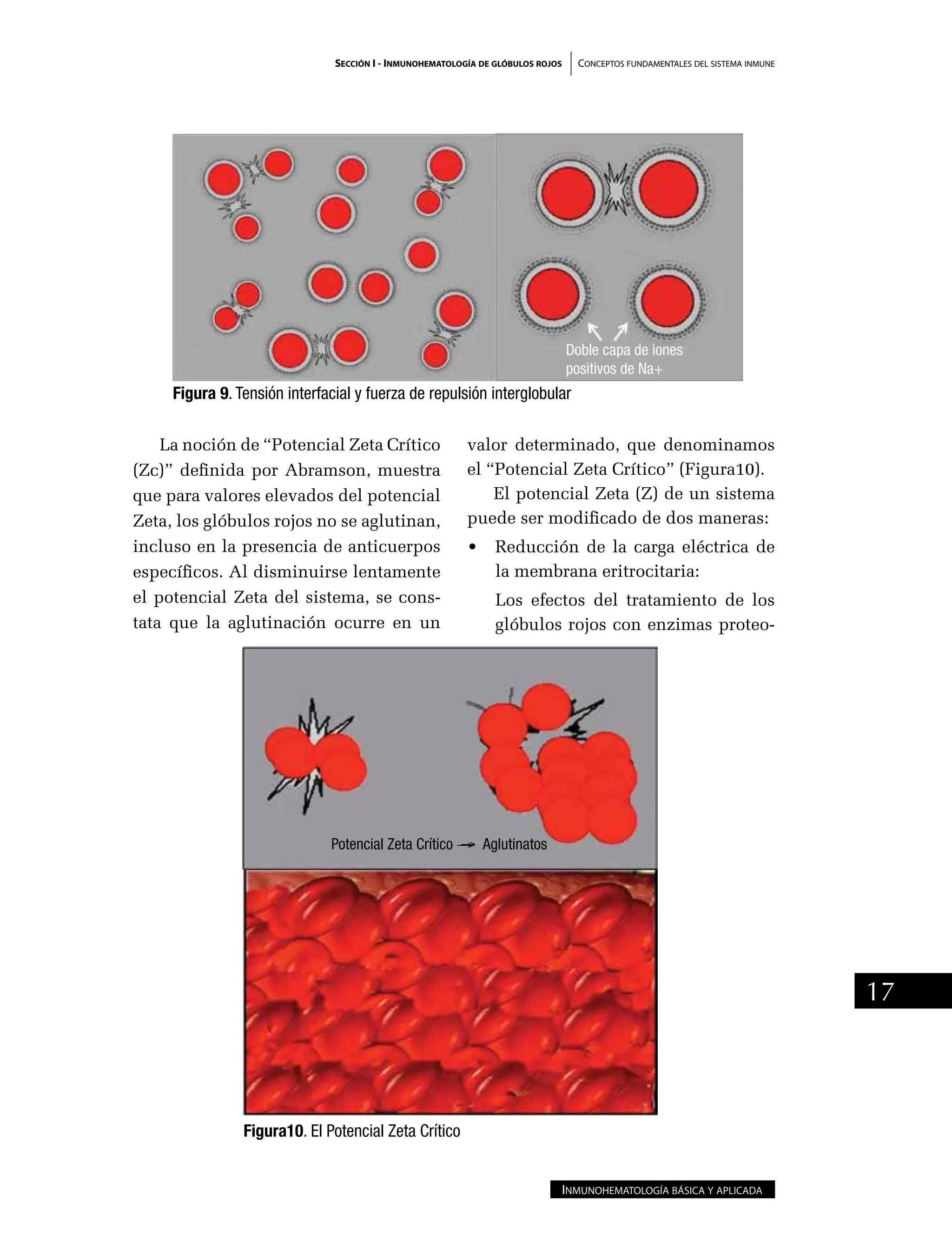 inmunohematologia-banco de sangre-básica y aplicada | PDF