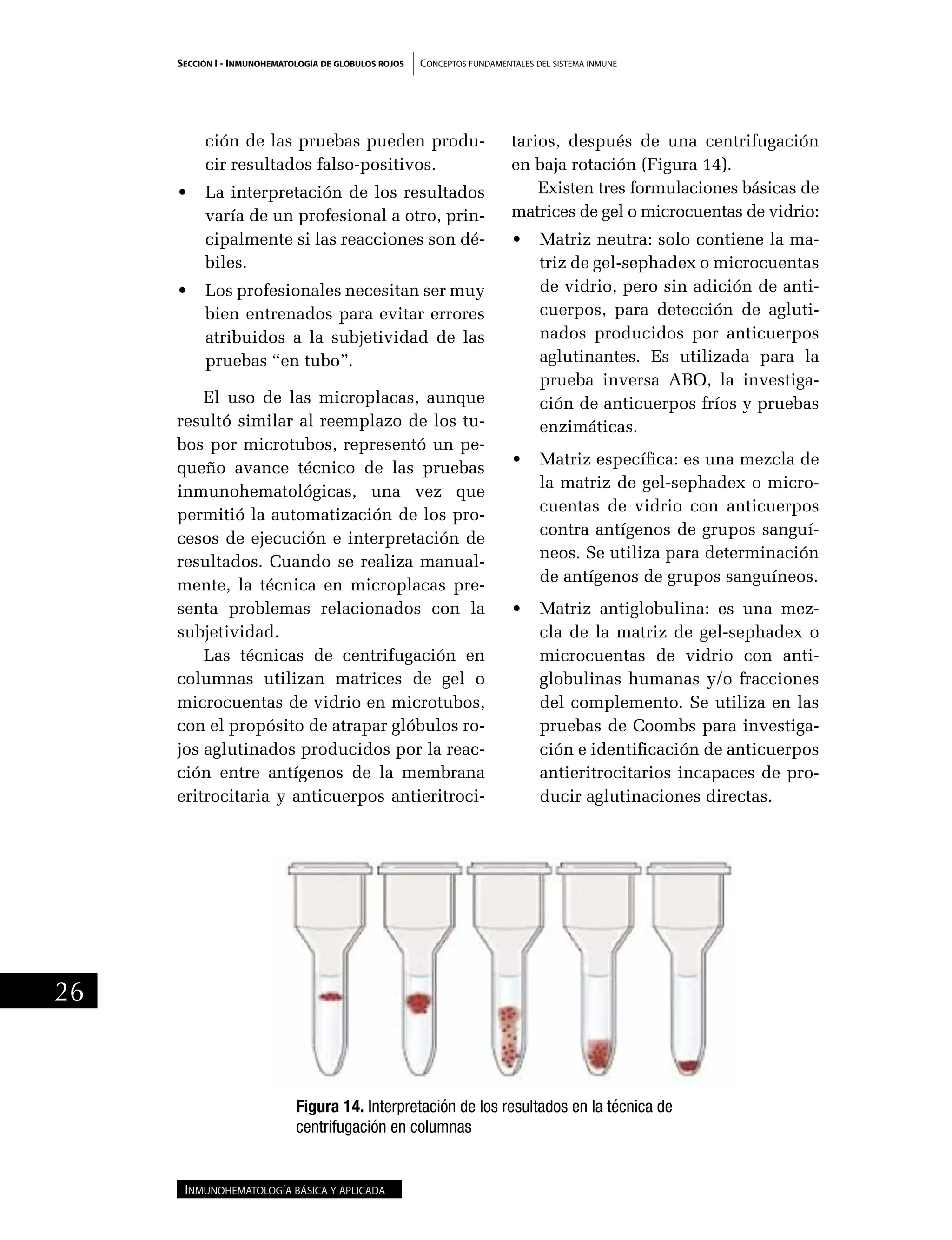 inmunohematologia-banco de sangre-básica y aplicada | PDF