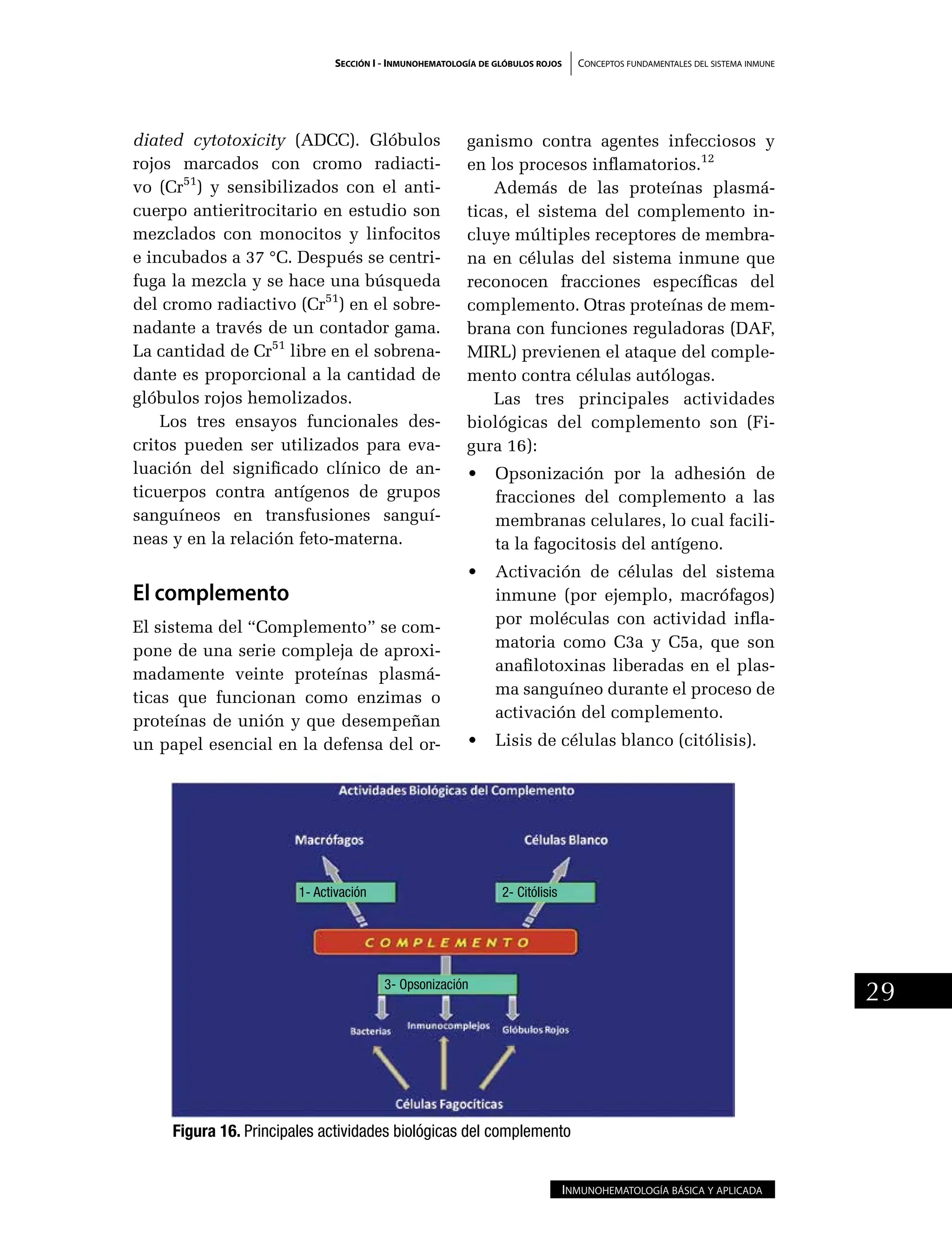 inmunohematologia-banco de sangre-básica y aplicada | PDF
