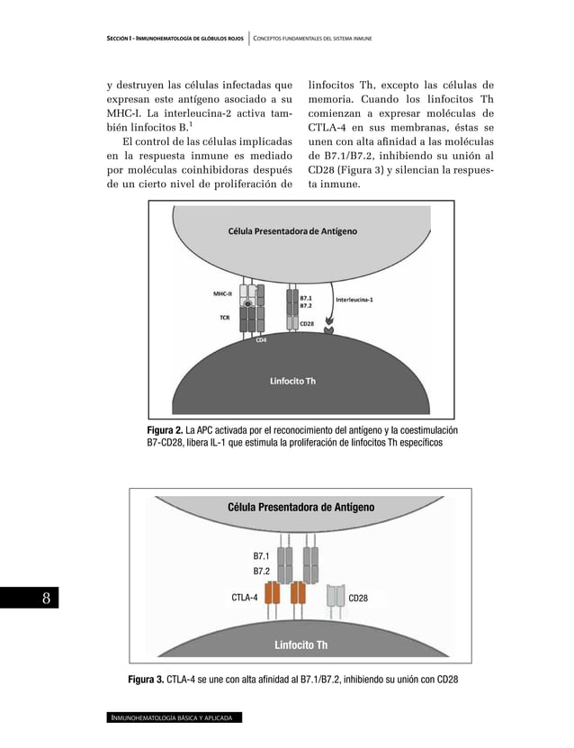 inmunohematologia-banco de sangre-básica y aplicada | PDF