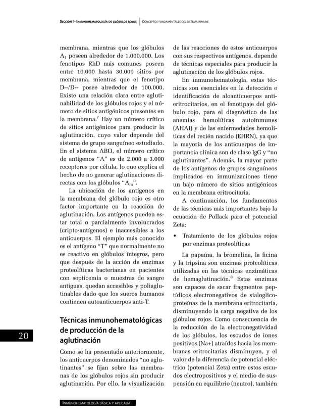 inmunohematologia-banco de sangre-básica y aplicada | PDF