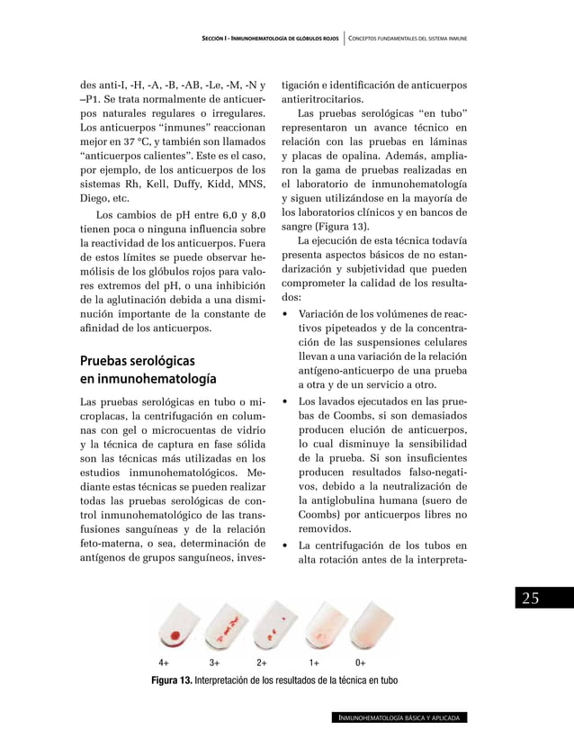 inmunohematologia-banco de sangre-básica y aplicada | PDF